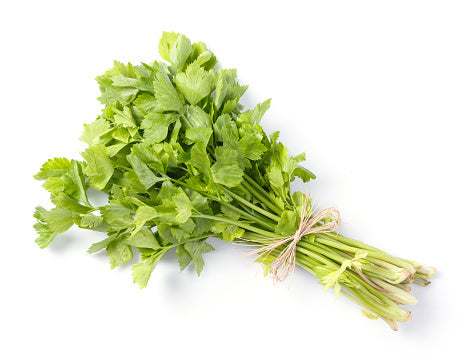 Local Celery 芹菜 (100G) – Ding Xin Seafood